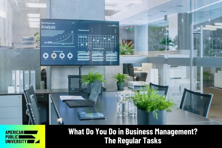 What Do You Do in Business Management? The Regular Tasks | American ...