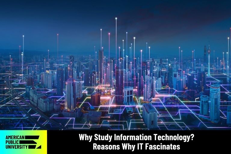 Why Study Information Technology? Reasons Why IT Fascinates